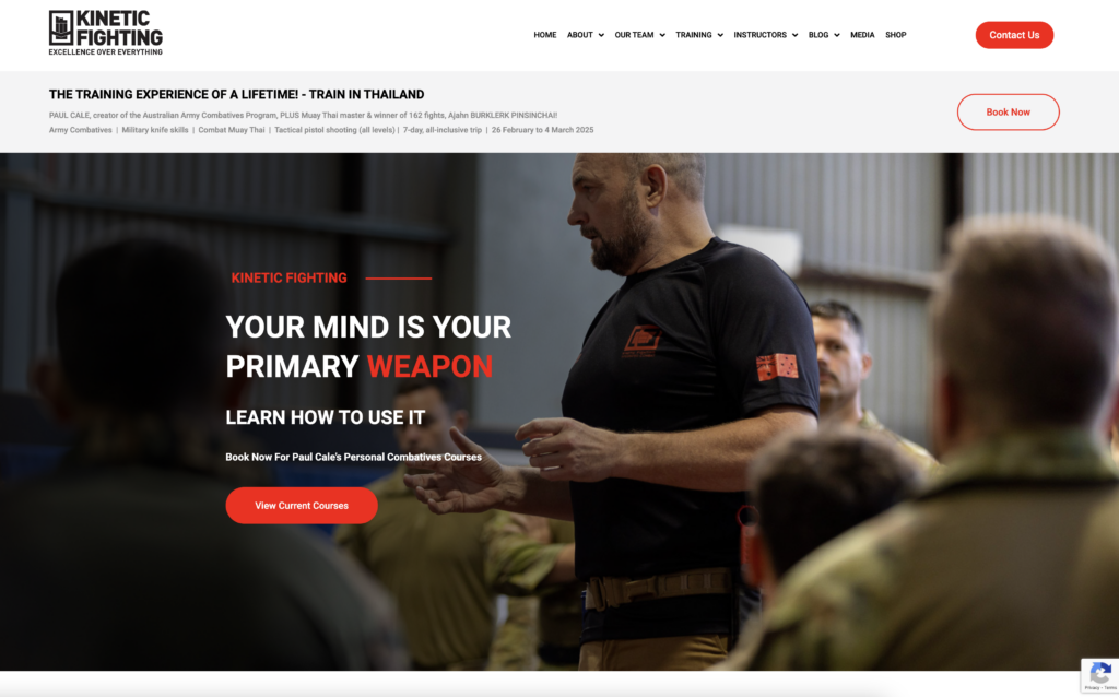 Kinetic Fighting - theartistree Pty Ltd | Creative Agency